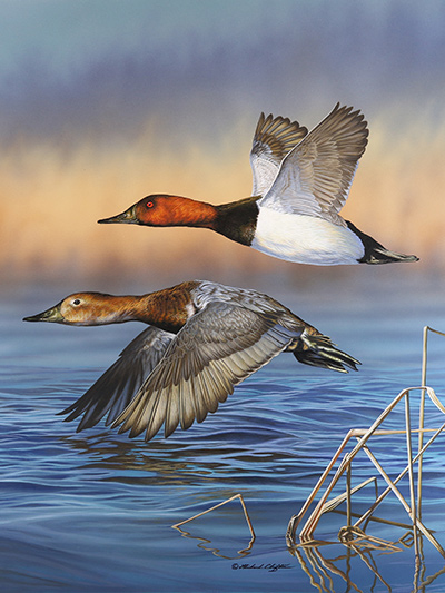 A Sussex County Artist and Milford Craft Brewery Team Up for Conservation