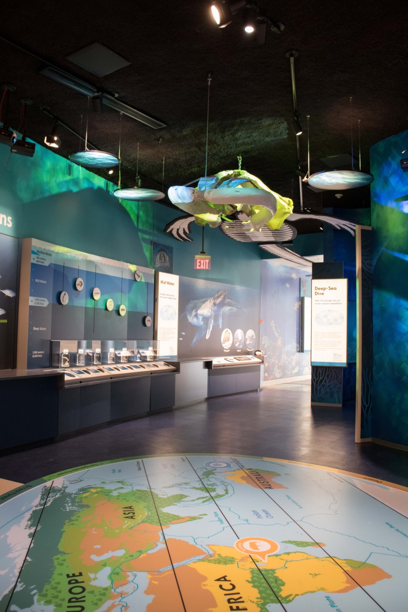 The Delaware Museum of Nature & Science Is Open to the Public