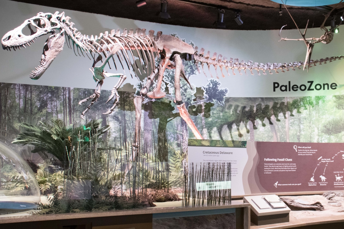 The Delaware Museum of Nature & Science Is Open to the Public