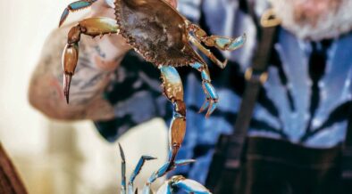 14 Delaware Crab Houses to Visit for Mouthwatering Crabs