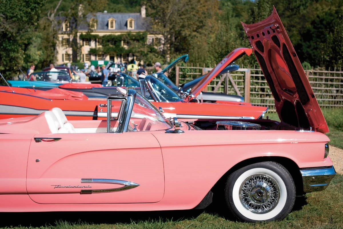 Here's Everything to Do Around Delaware This Month