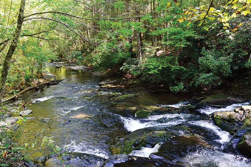 The Allure of the "Unknowable" Delaware River